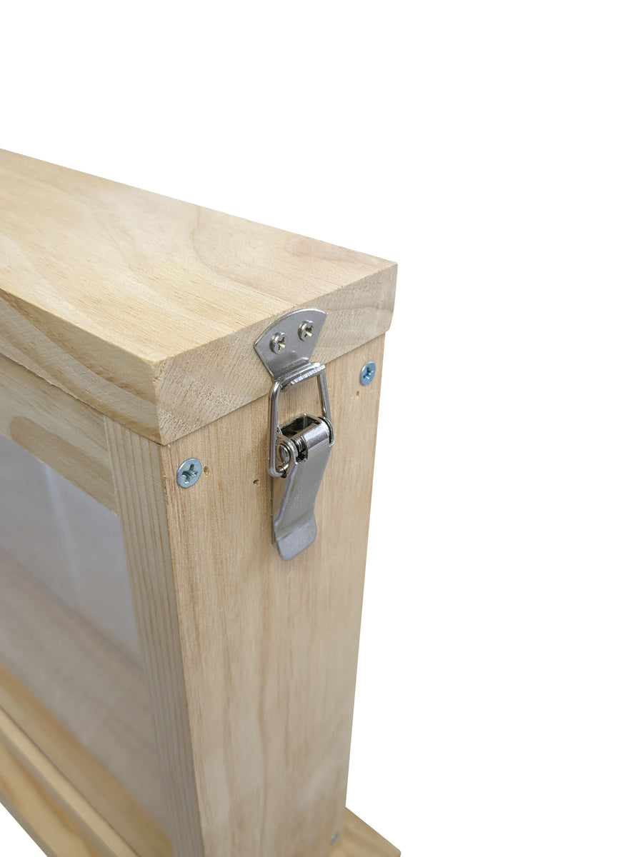 Observation Educational Beehive - Single Frame – The Bee Store