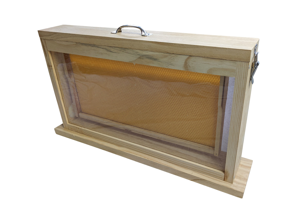 Observation Educational Beehive - Single Frame – The Bee Store